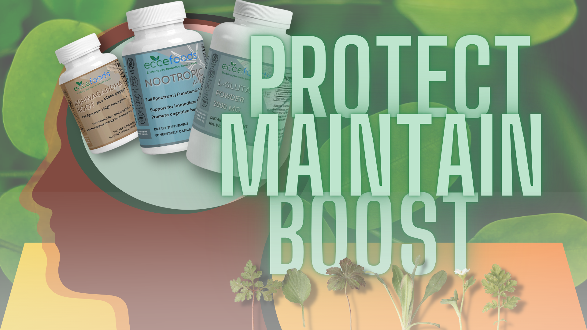 Three Strategies To Promote Mental Energy | The Vitamin Clerk Blog ...