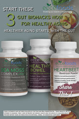 HEALTHY AGING HACK – eccefoods