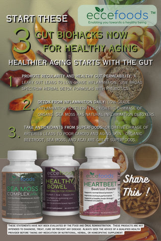 HEALTHY AGING HACK – eccefoods